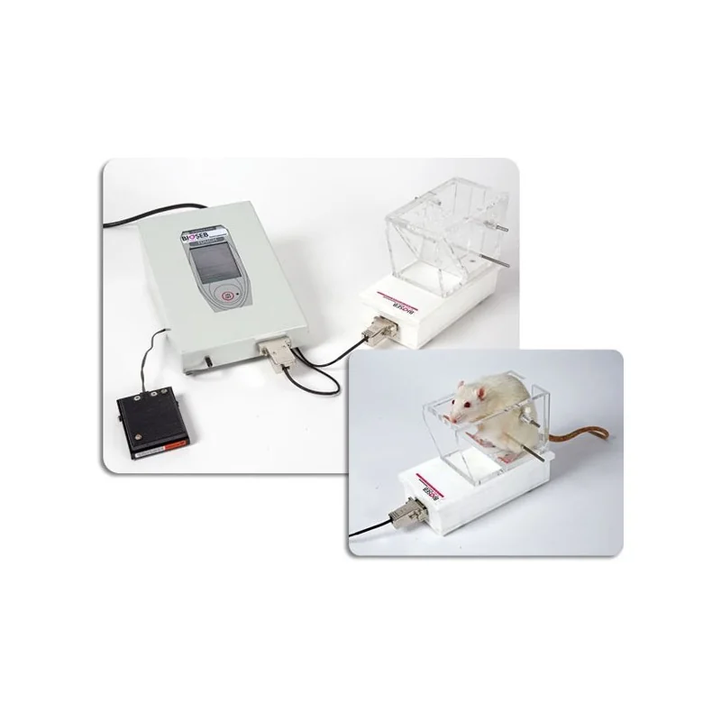 Kinetic Weight Bearing