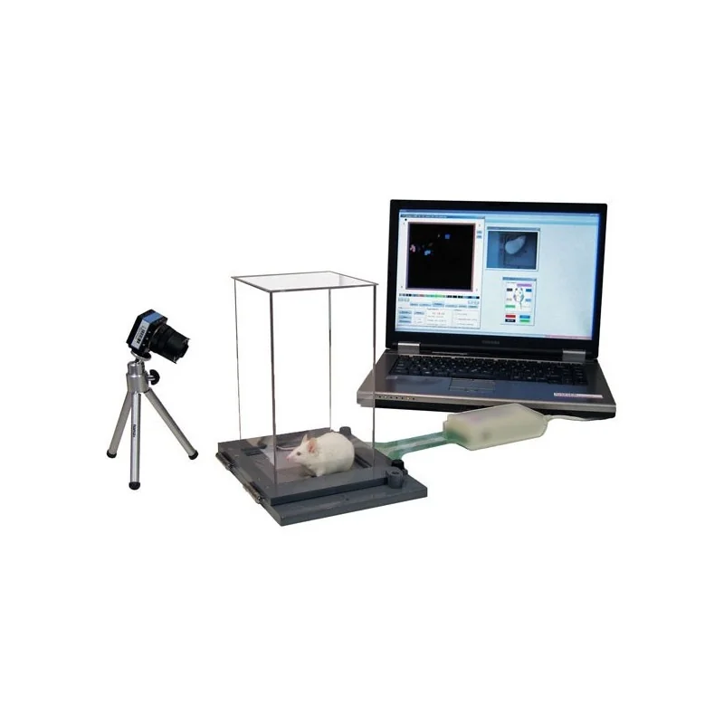 Kinetic Weight Bearing