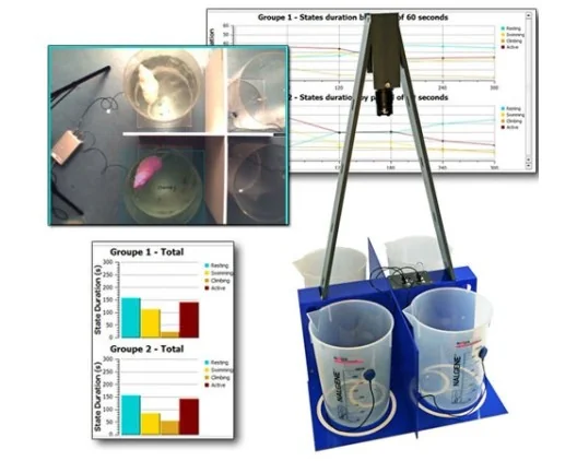 Forced Swimming Test: New FST DUAL SENSOR
